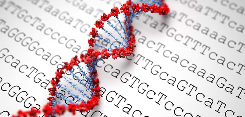 Sequenciamento do DNA: Desvendando a genética dos seres vivos
